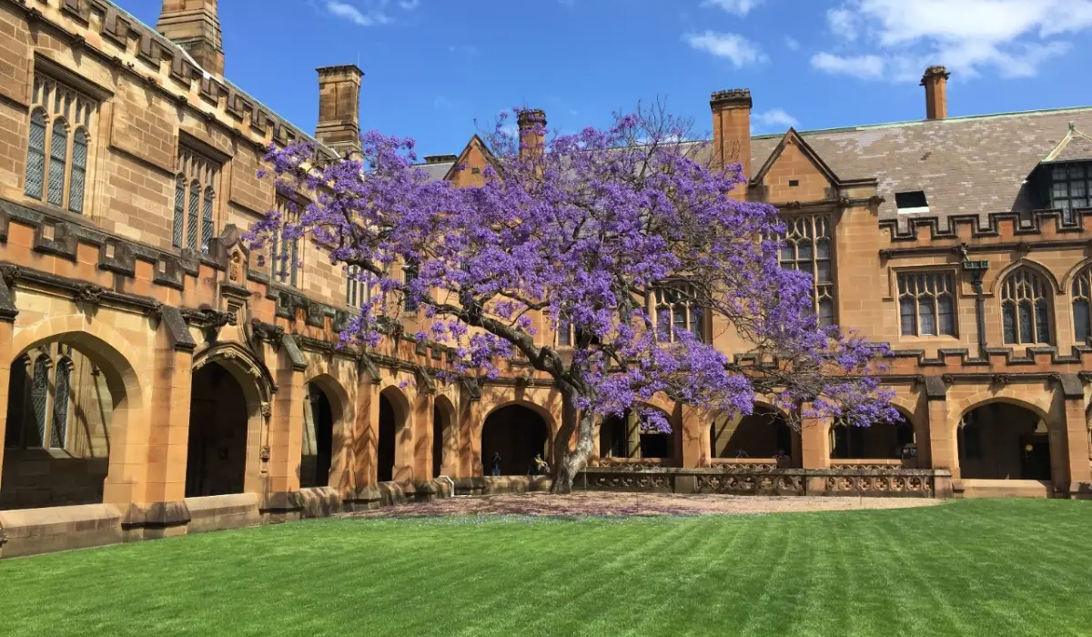 Garnett Passe and Rodney Williams Memorial Foundation Research ...