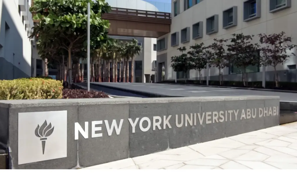 2020 Research Fellowships at NYUAD’s Institute, UAE