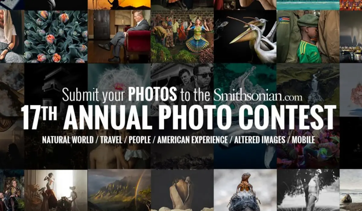 15th Annual Photo Contest in USA, 2019