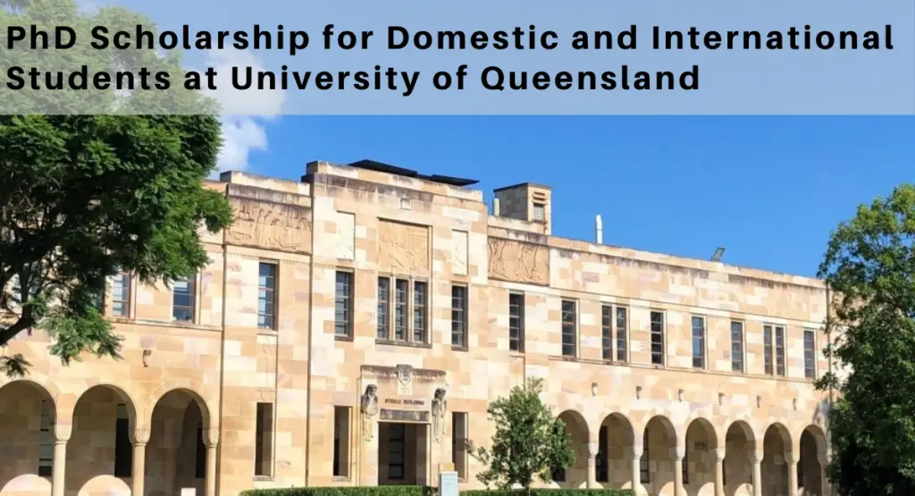 PhD Scholarship For Domestic And International Students At University phd-scholarship-for-domestic-and-international-students-at-university