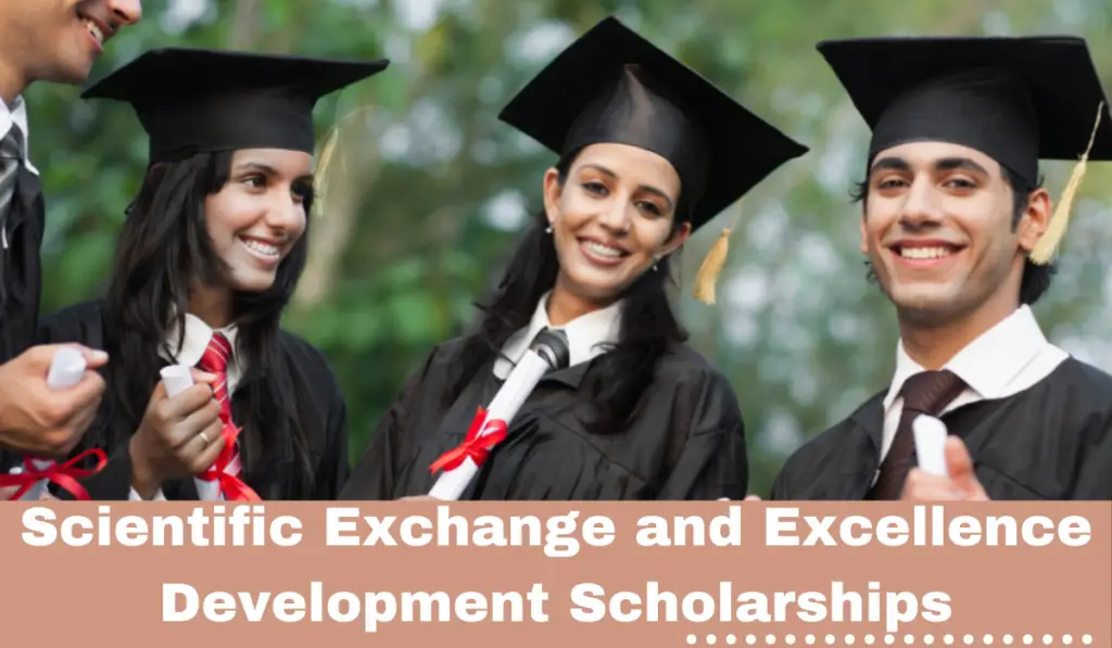 Scientific Exchange and Excellence Development Scholarships, 2020
