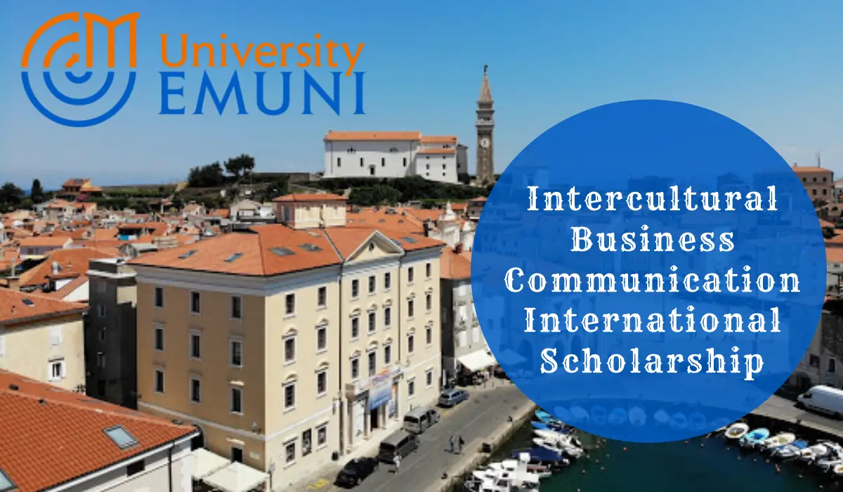 Master Degree in Intercultural Business Communication Scholarship