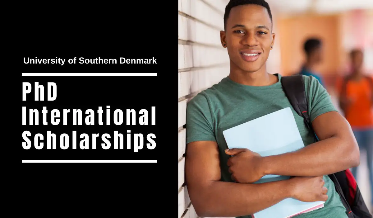Department of Marketing & Management PhD International Scholarships