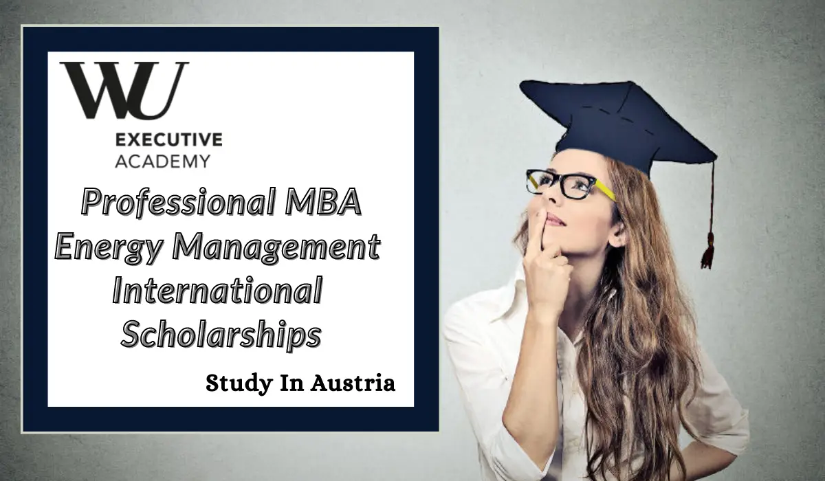 Professional MBA Energy Management International Scholarships in Austria