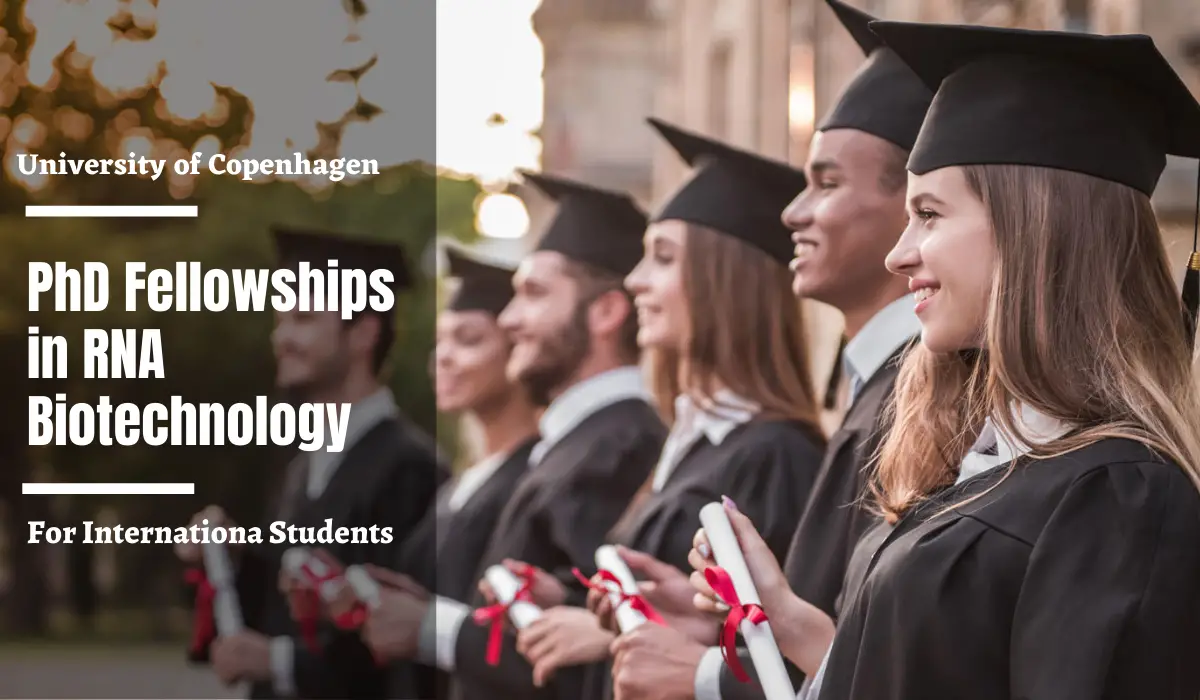 International PhD Fellowships in RNA Biotechnology, Denmark