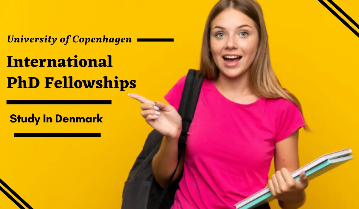 International PhD Fellowships in Formal Verification, Denmark