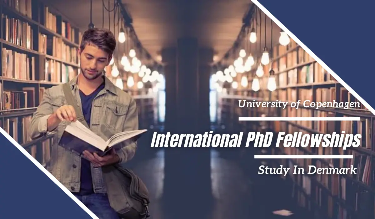 International Phd Fellowships In Environmental Chemistry Denmark