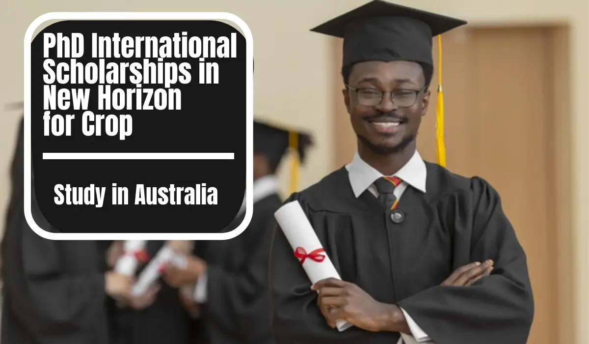 Research Scholarships 2022-2023