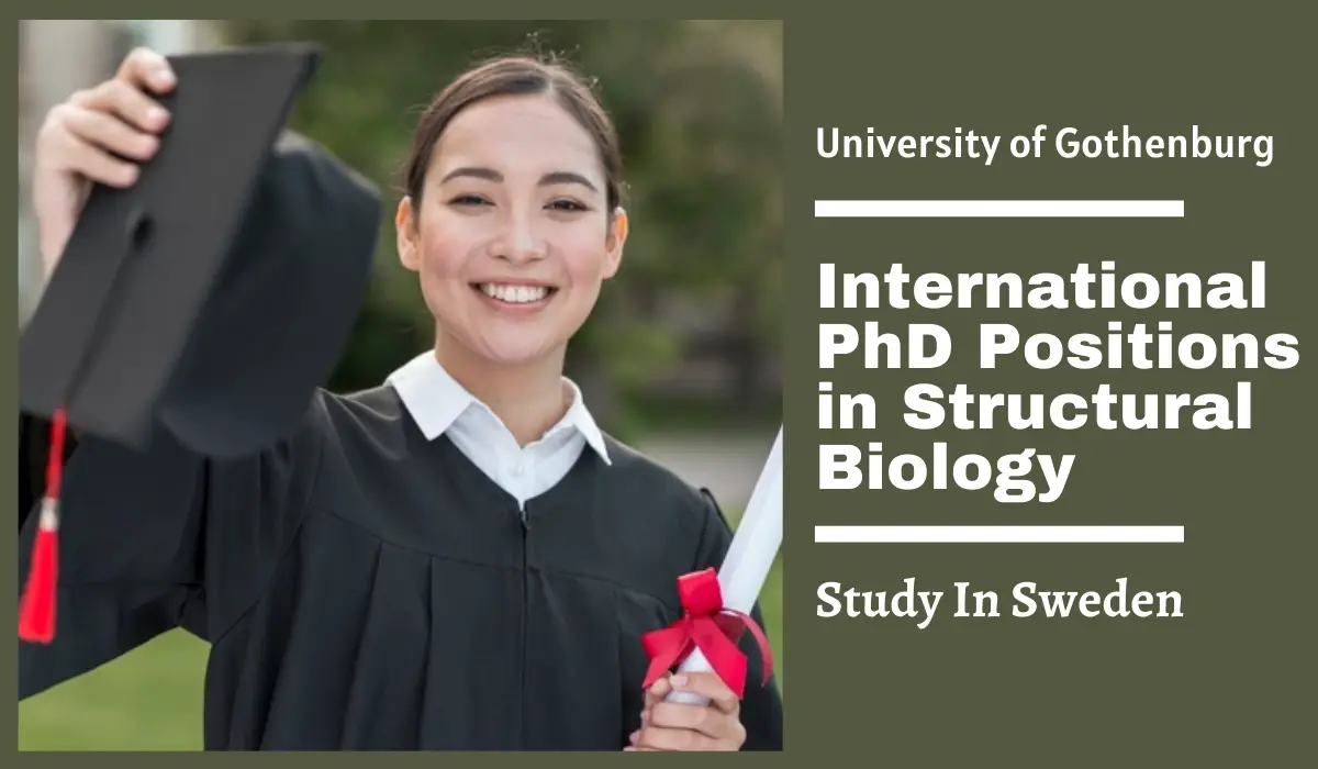 International PhD Positions in Structural Biology/Biophysics at ...