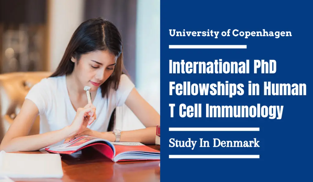 International PhD Fellowships in Human T Cell Immunology, Denmark ...