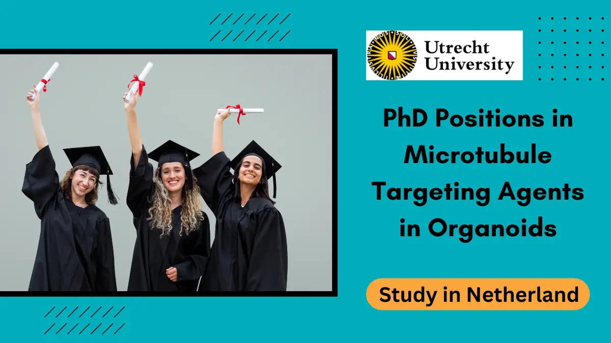 PhD Positions in Microtubule Targeting Agents in Organoids, Netherlands ...