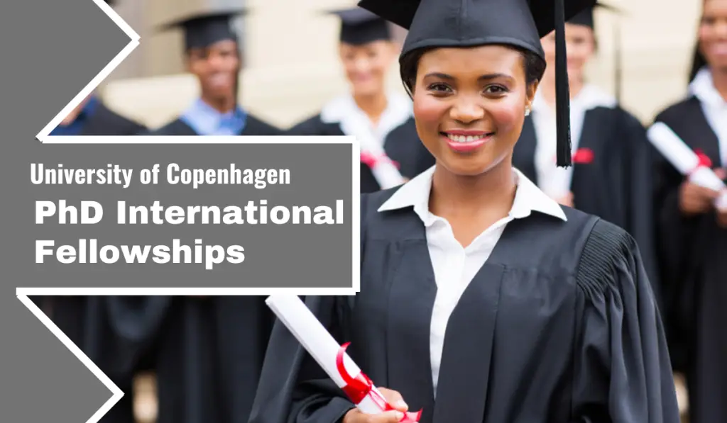 University of Copenhagen PhD International Fellowships in Machine Learning in Medicine, Denmark ...