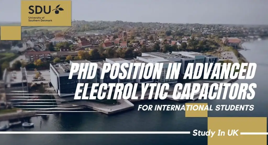 PhD Position Scholarship Positions 2024 2025