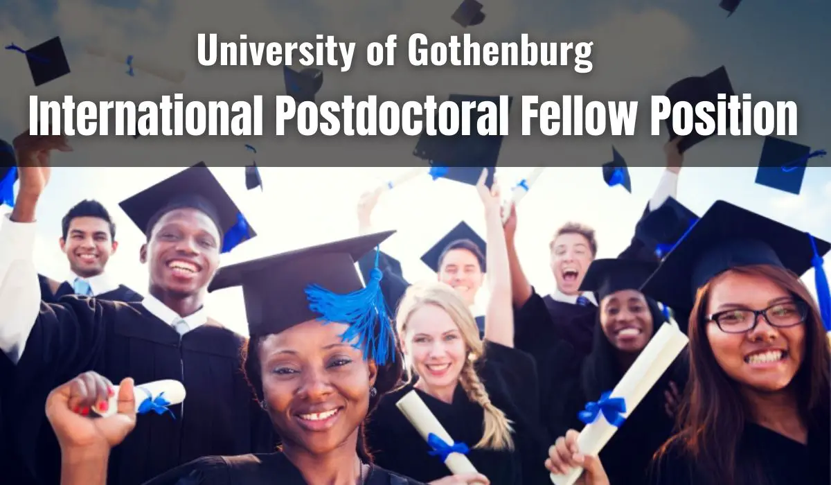 International Postdoctoral Fellow Position in Spatio-temporal Dynamics ...