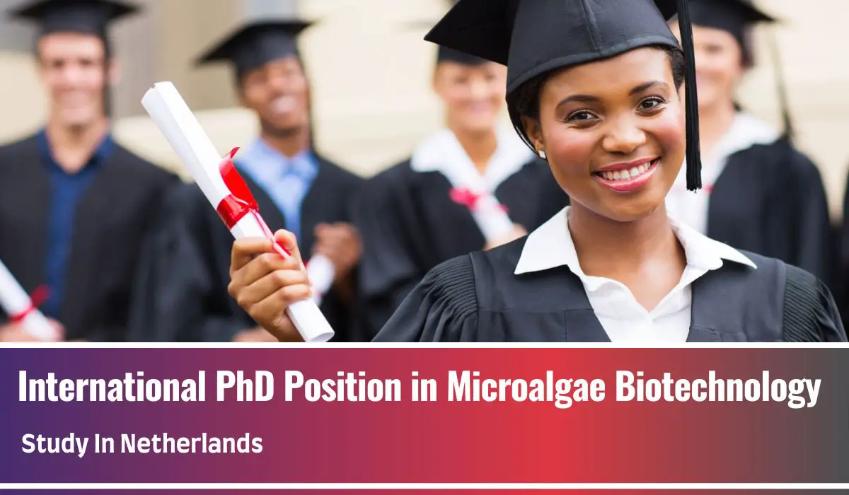 International PhD Position in Microalgae Biotechnology, Netherlands ...