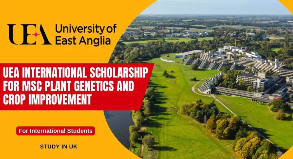 UEA International Scholarship for MSc Plant Genetics and Crop ...
