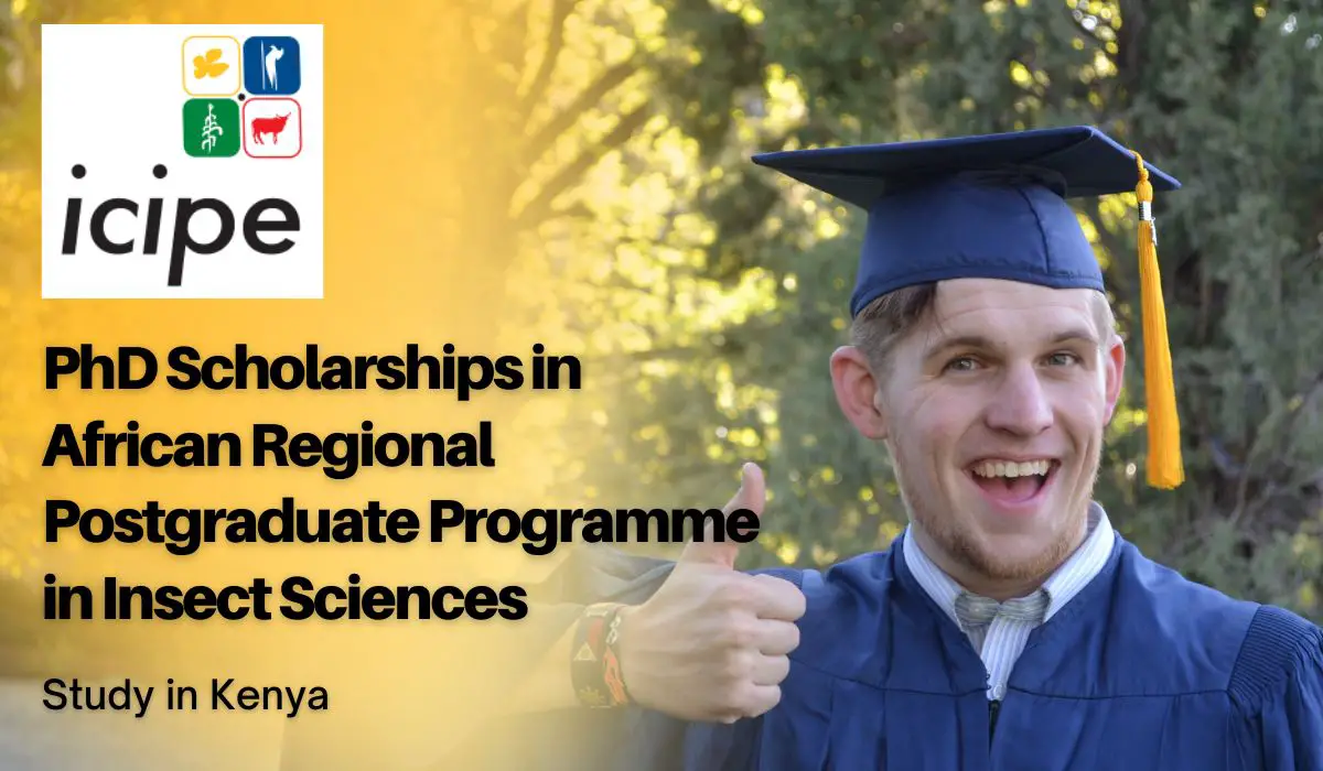 PhD Scholarships in African Regional Postgraduate Programme in Insect Sciences (ARPPIS), Kenya ...