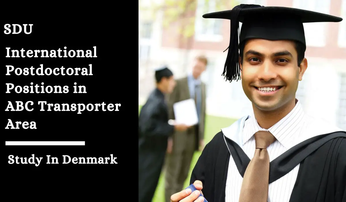 SDU International Postdoctoral Positions in the ABC Transporter Area ...