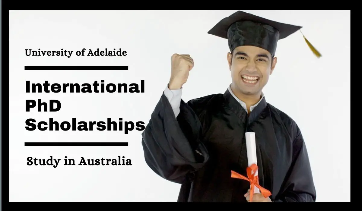 International PhD Scholarships in Fine-Grained Explainable ...