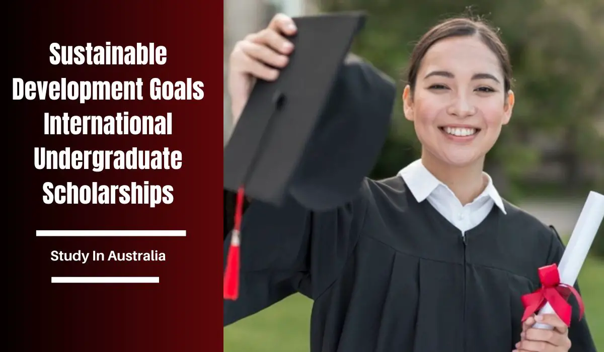 Sustainable Development Goals International Undergraduate Scholarships ...