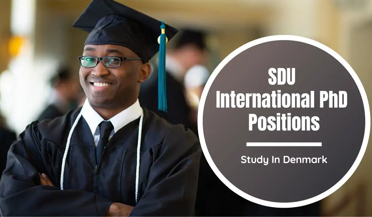 International PhD Positions in Intersection of Business Administration ...