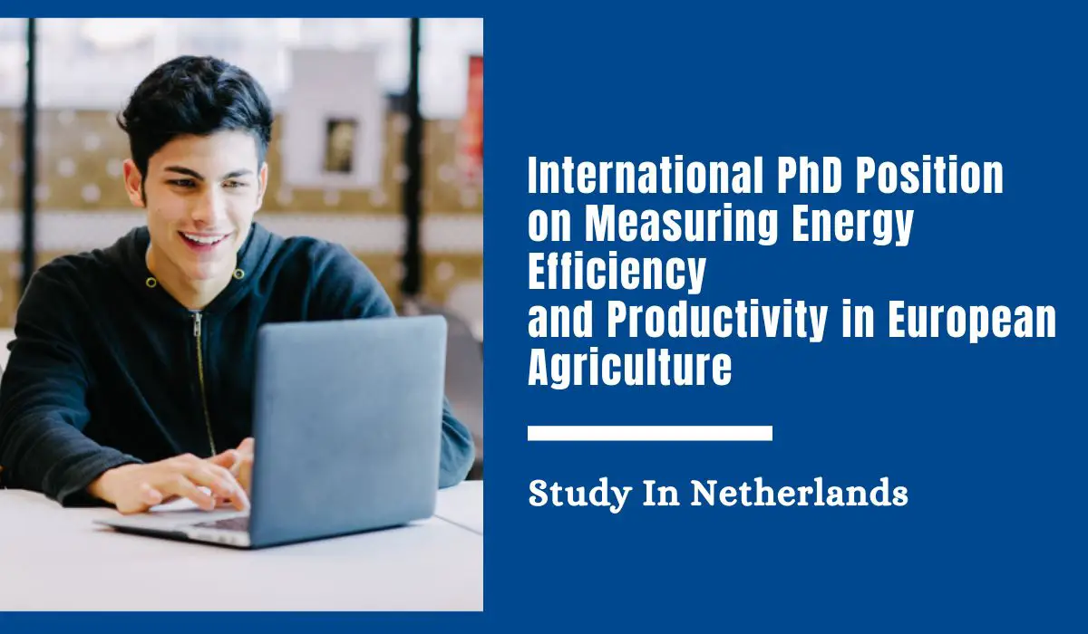 International PhD Position