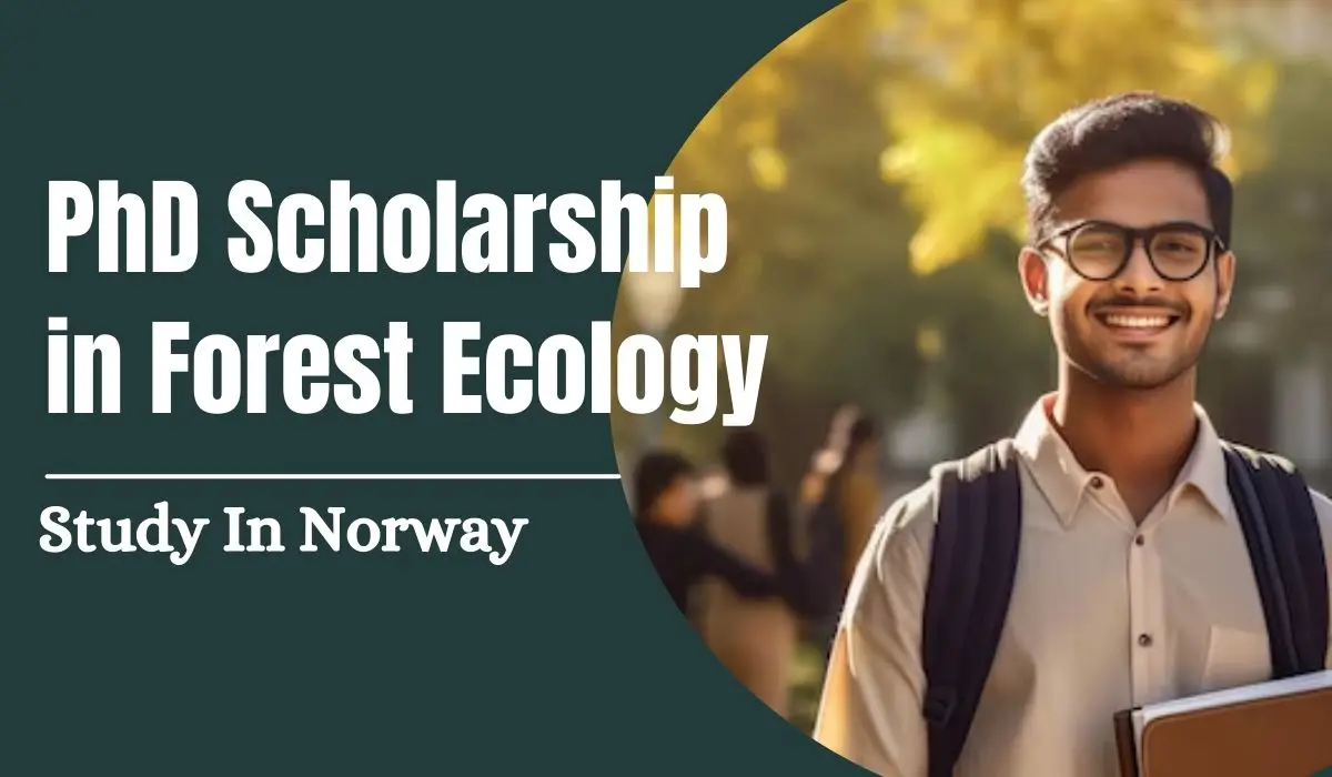 University of Oslo PhD Scholarship in Forest Ecology, Norway ...