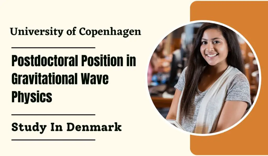International Postdoctoral Position in Gravitational Wave Physics at ...