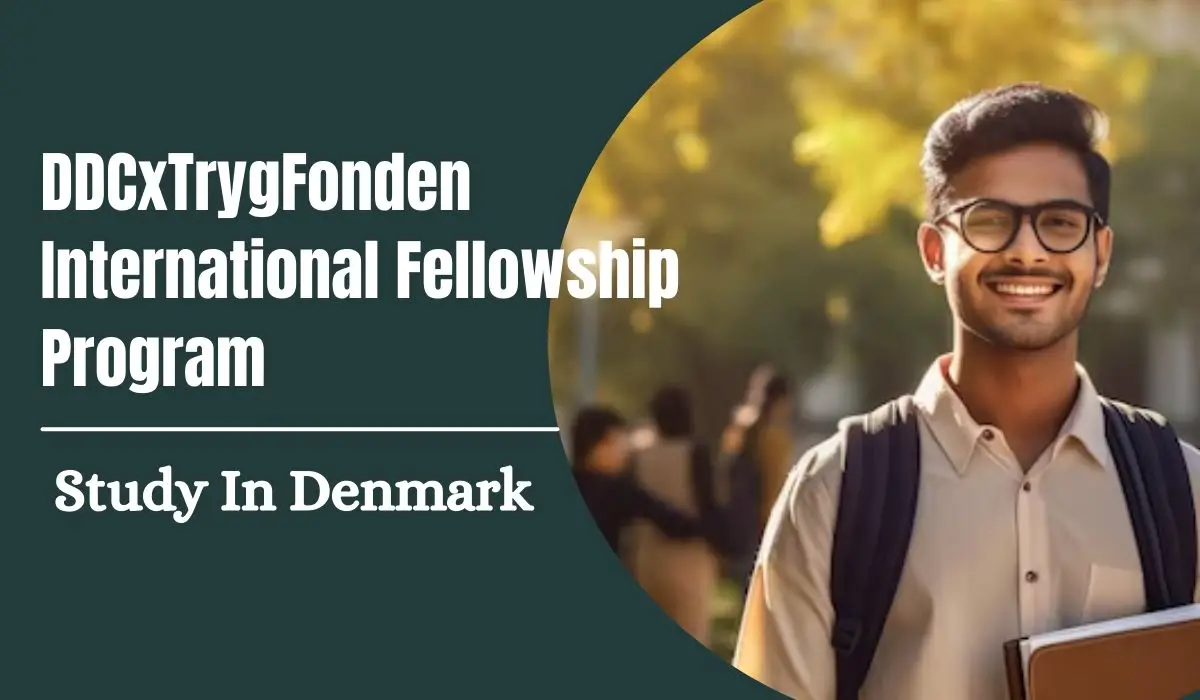 DDCxTrygFonden International Fellowship Program in Denmark