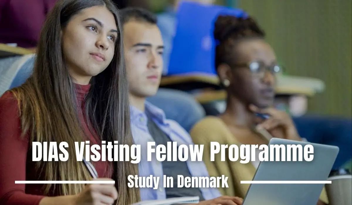 DIAS Visiting Fellow Programme in Denmark