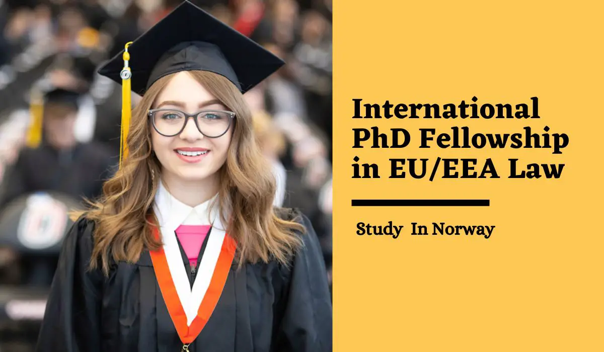 International PhD Fellowship in EU/EEA Law, Norway - Scholarship ...