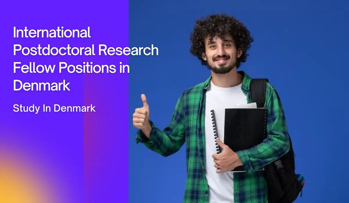 International Postdoctoral Research Fellow Positions in Denmark