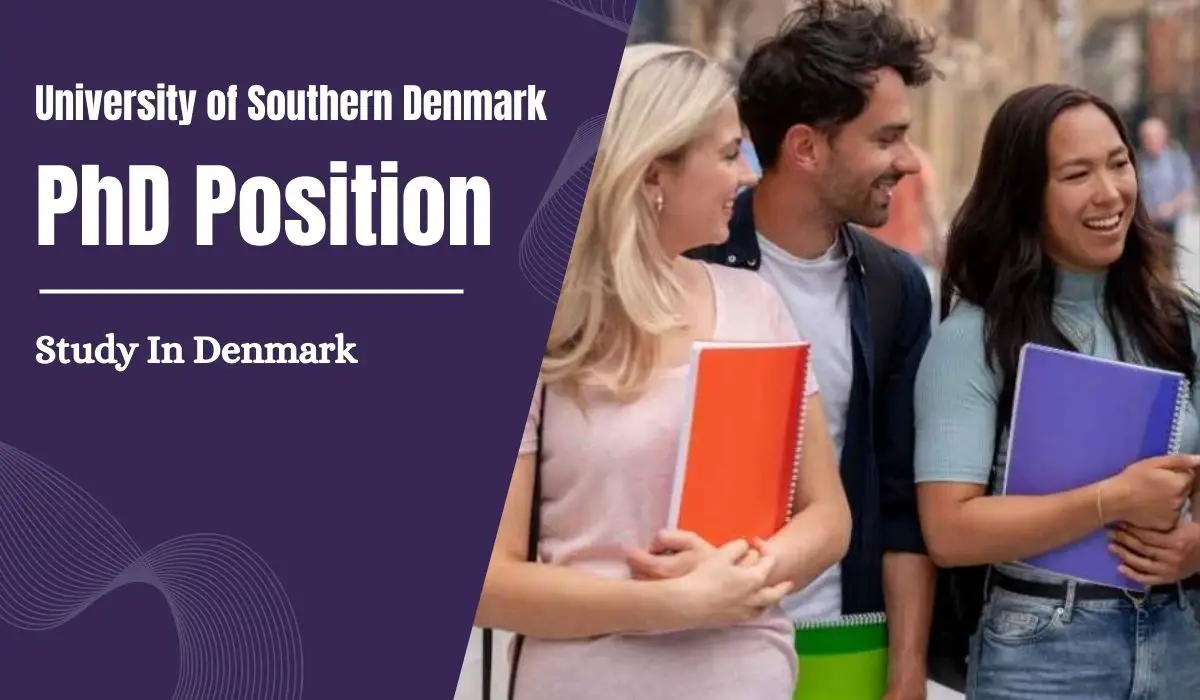 PhD Position in Error Mitigation Strategies for Quantum Chemistry on Noisy Intermediate-Scale ...