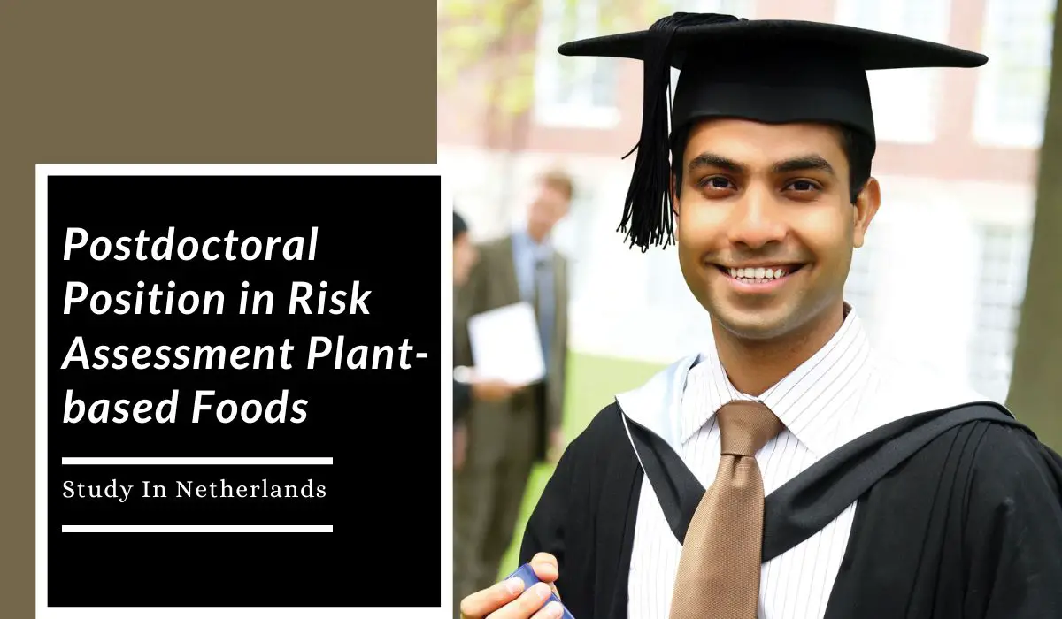 Postdoctoral Position in Risk Assessment Plant-based Foods, Netherlands