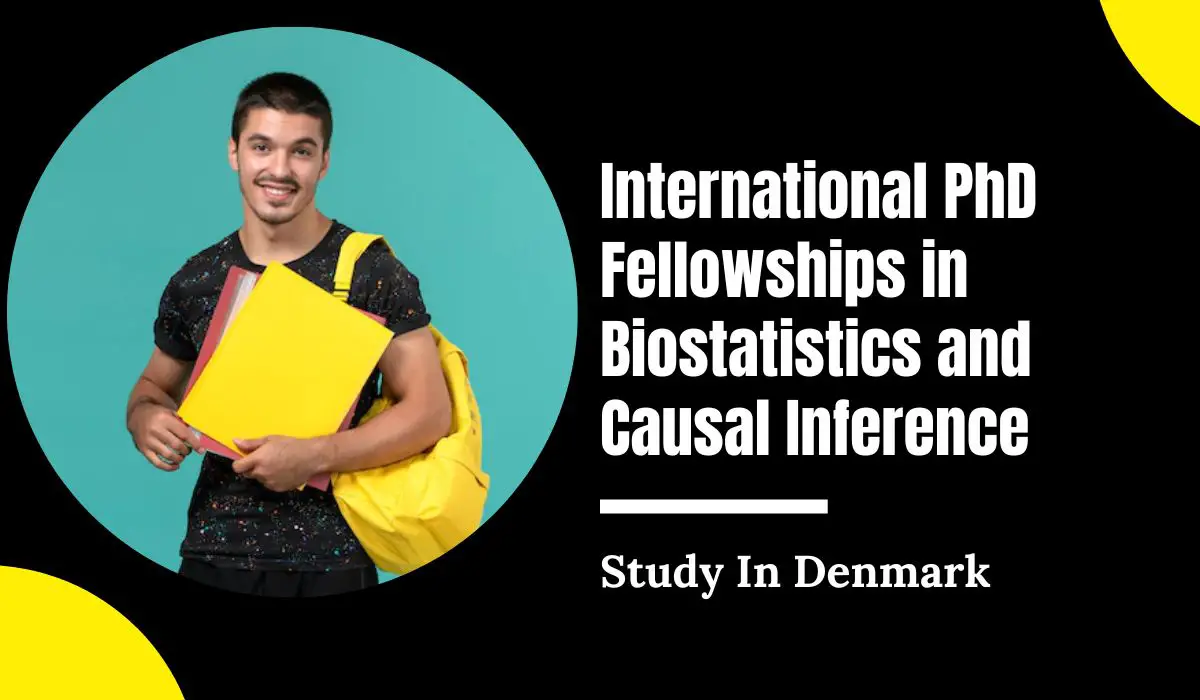 International PhD Fellowships in Biostatistics and Causal Inference, Denmark