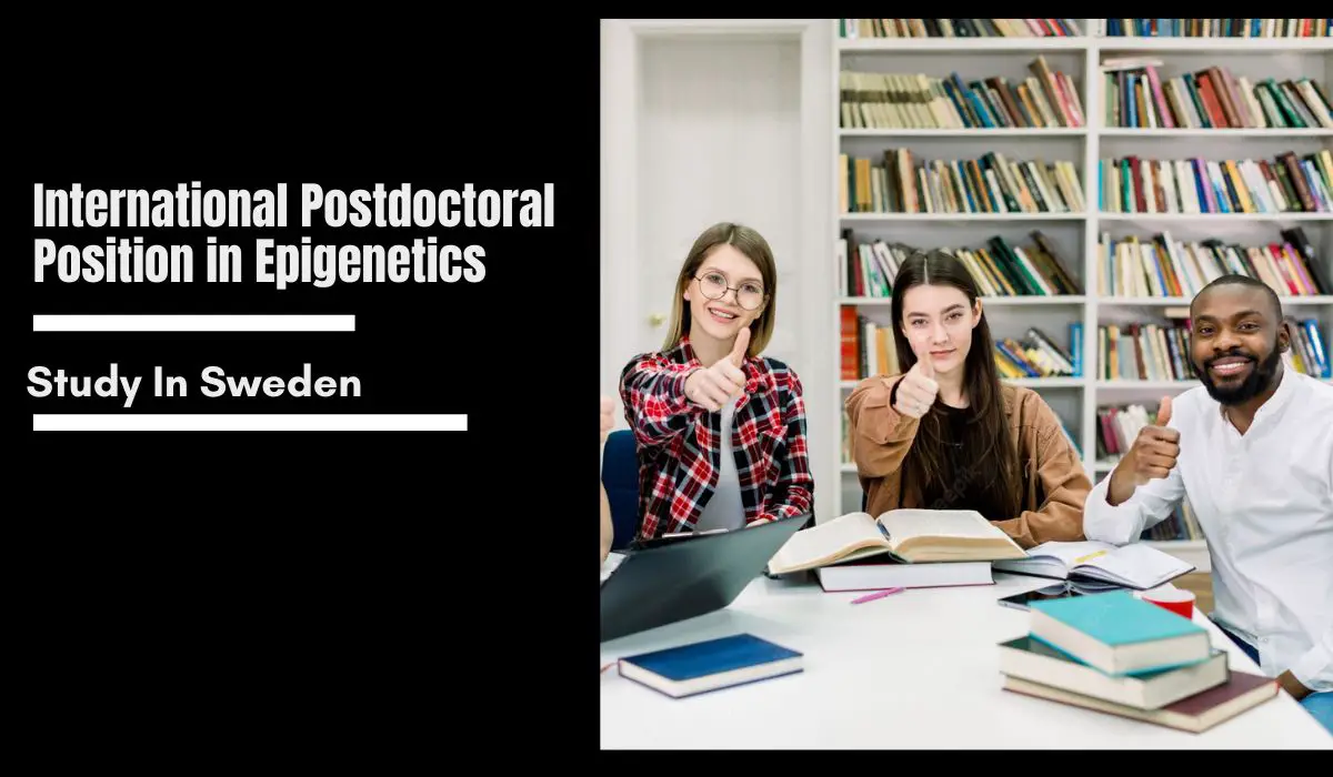 International Postdoctoral Position in Epigenetics, Sweden