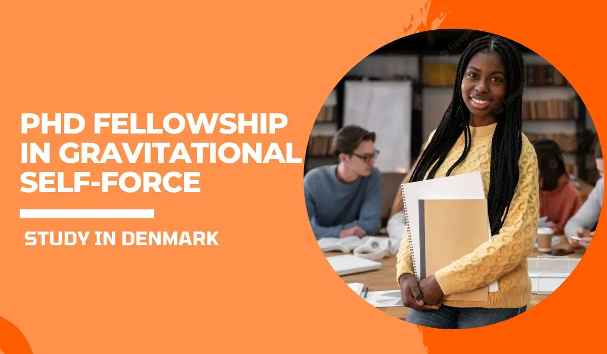 PhD Fellowship in Gravitational Self-Force, Denmark