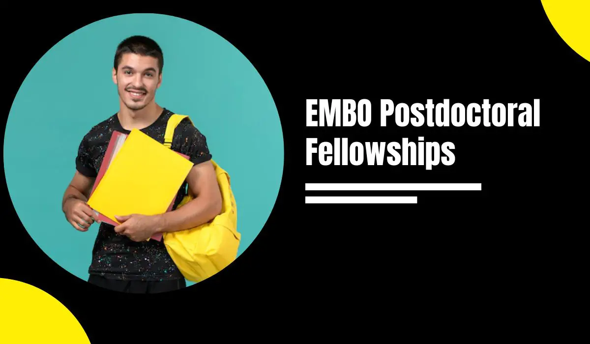 Postdoctoral Fellowships 2025-2026