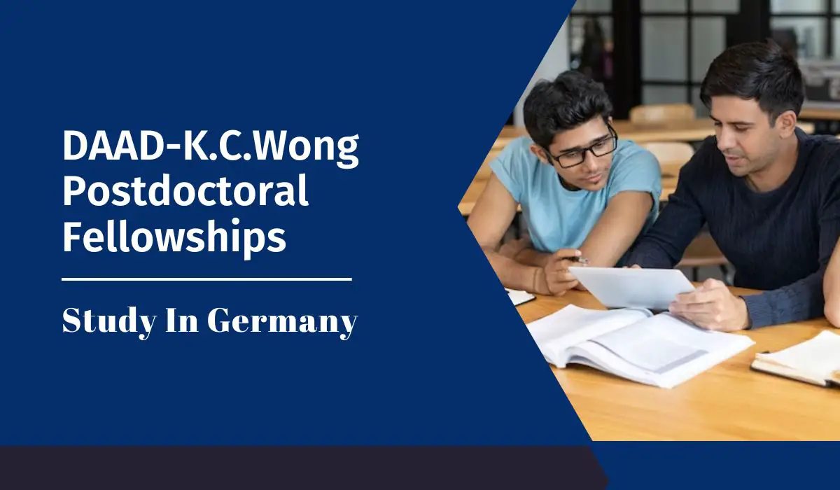 DAAD-K.C.Wong Postdoctoral Fellowships, Germany