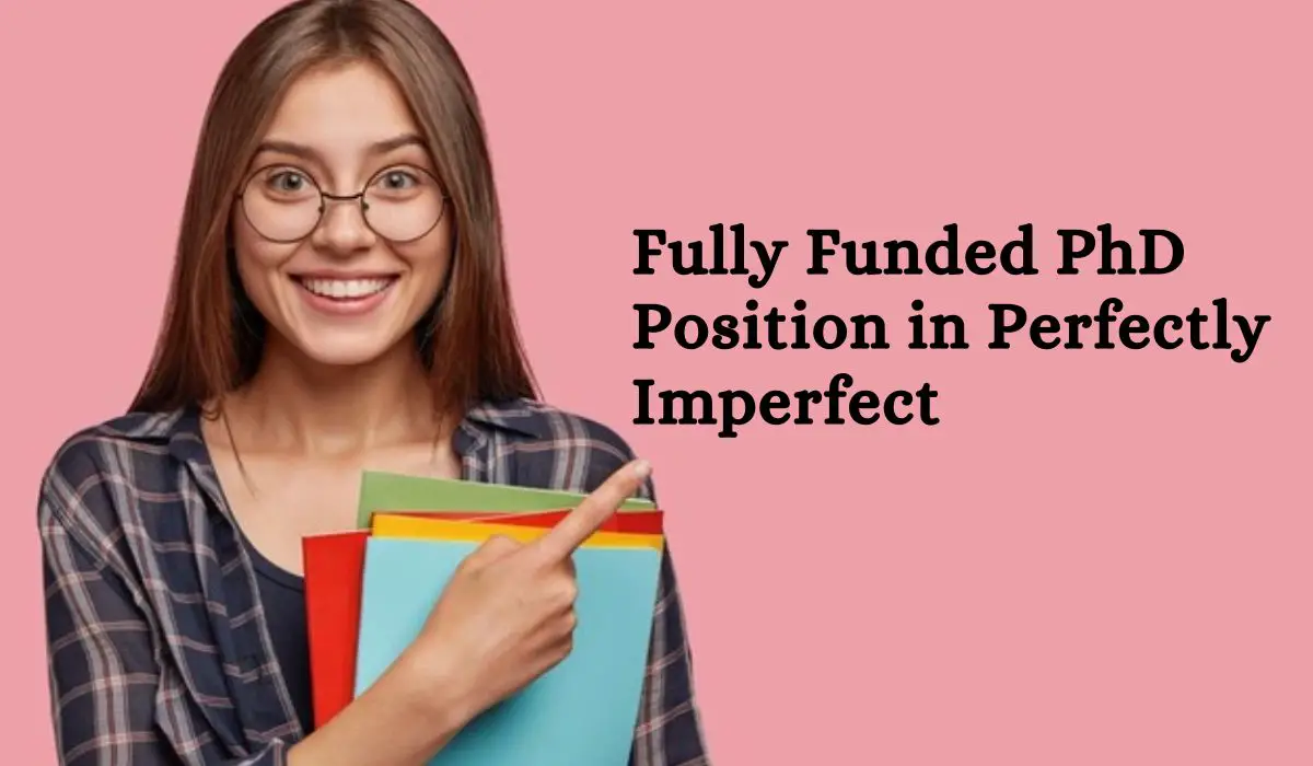 Fully Funded PhD Position in Perfectly Imperfect, Netherlands