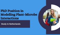 PhD Position in Modelling Plant-Microbe Interactions, Netherlands